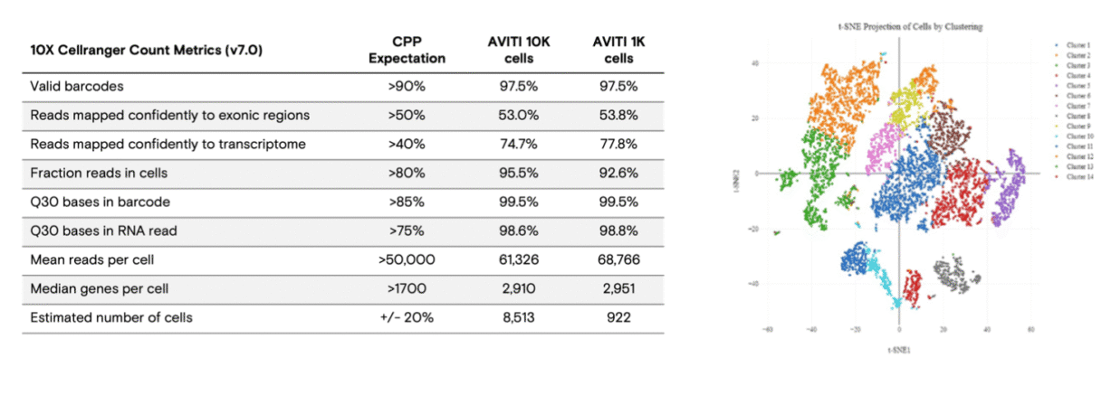 Single-Cell RNA Sequencing | Element Biosciences